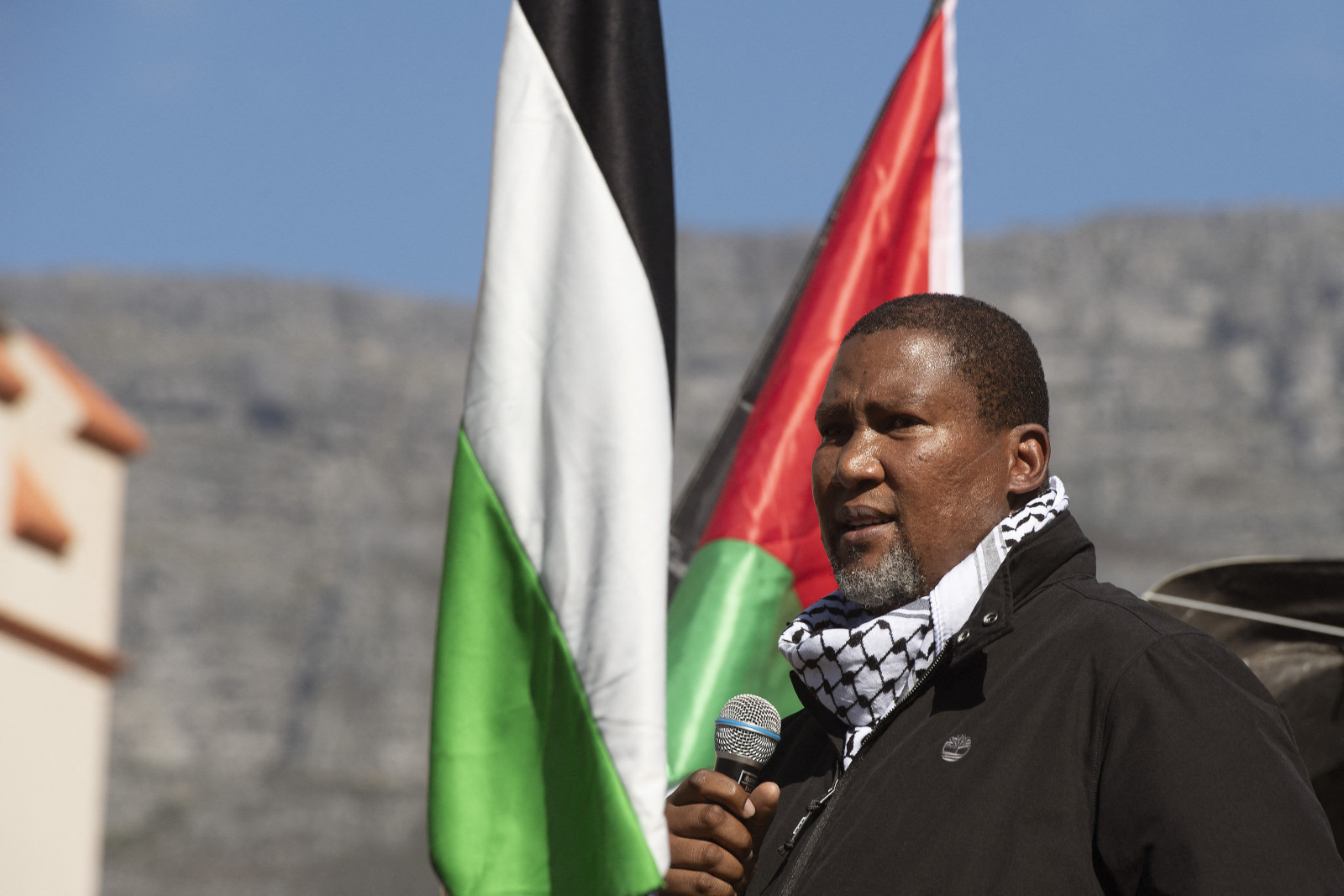 Mandla Mandela