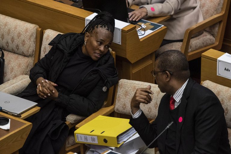 Mpofu moves for removal of evidence leaders in Mkhwebane inquiry – The ...