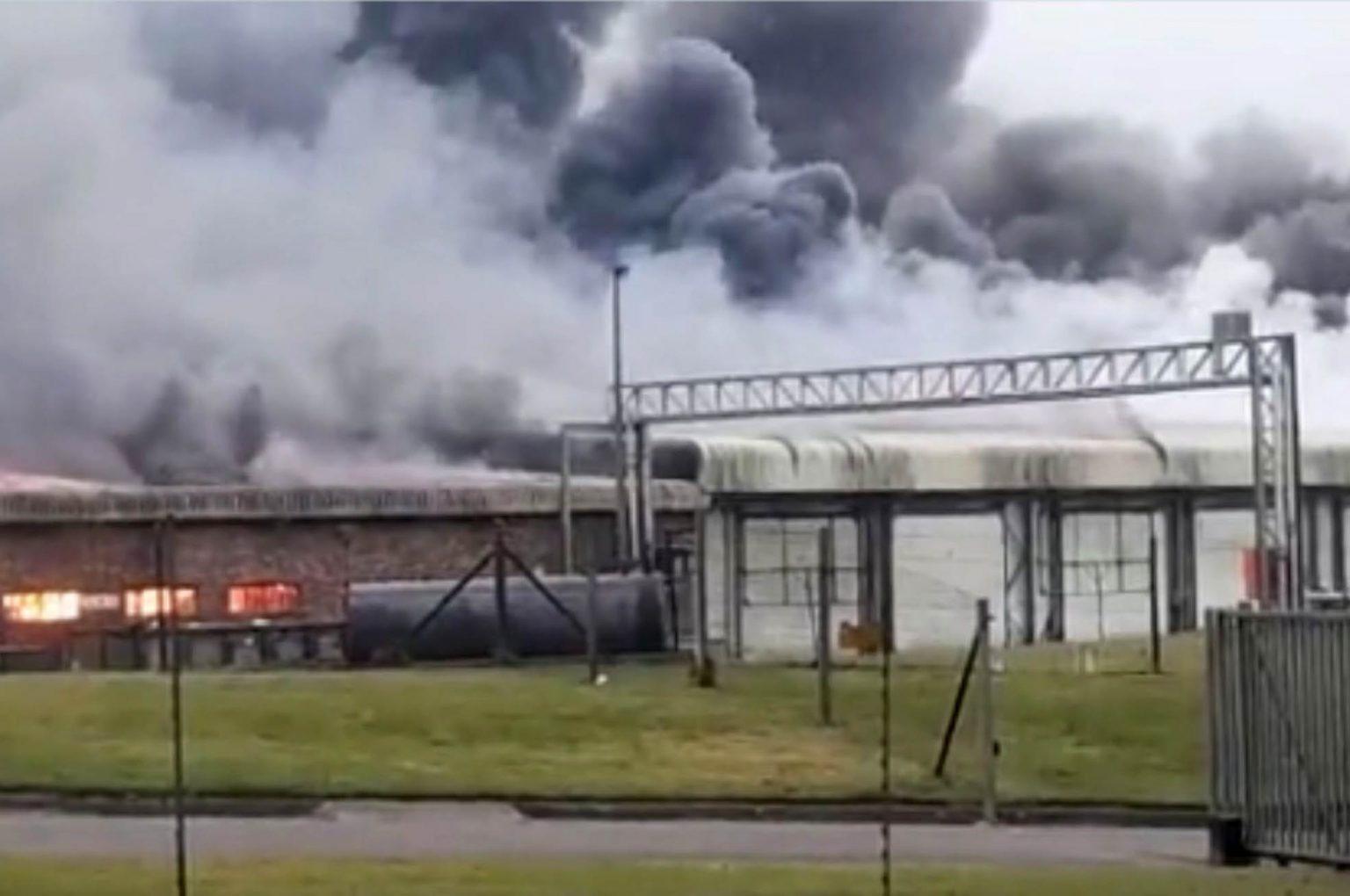 Denny mushroom farm fire could have been arson – The Mail & Guardian