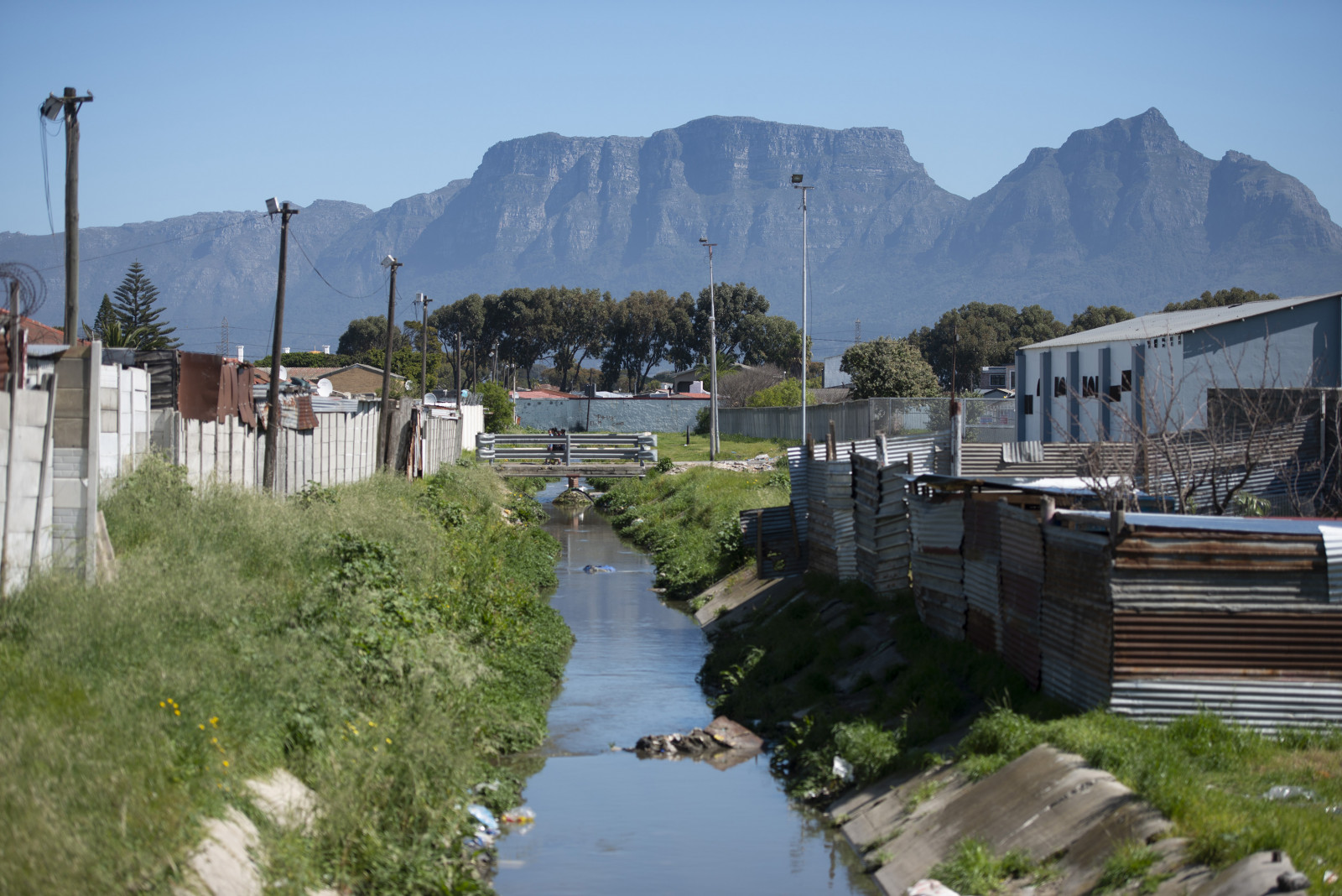 Hard Livings: The life of a child gangster - The Mail & Guardian