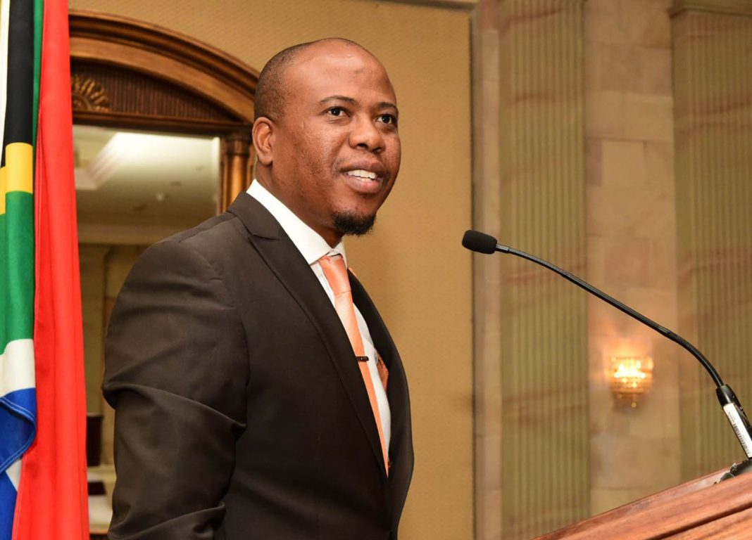 Senzo Mchunu is implicated in job fraud – The Mail & Guardian