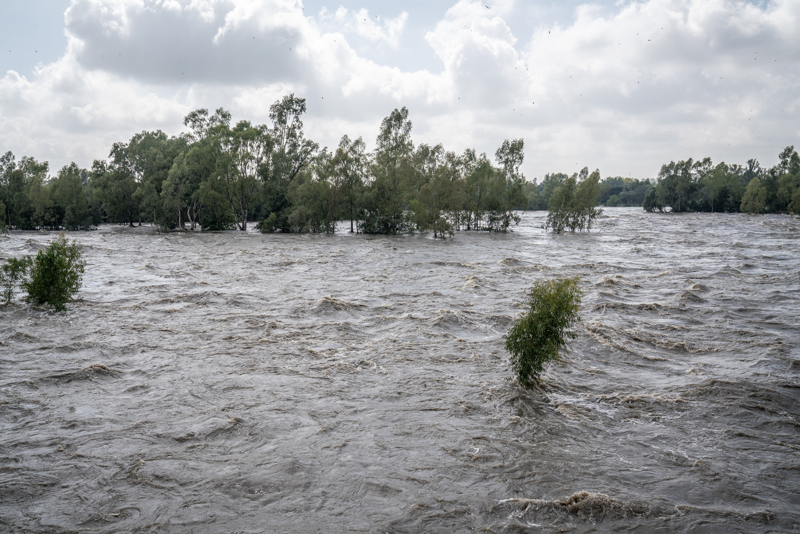‘Absolute chaos’ after flooding in the Vaal