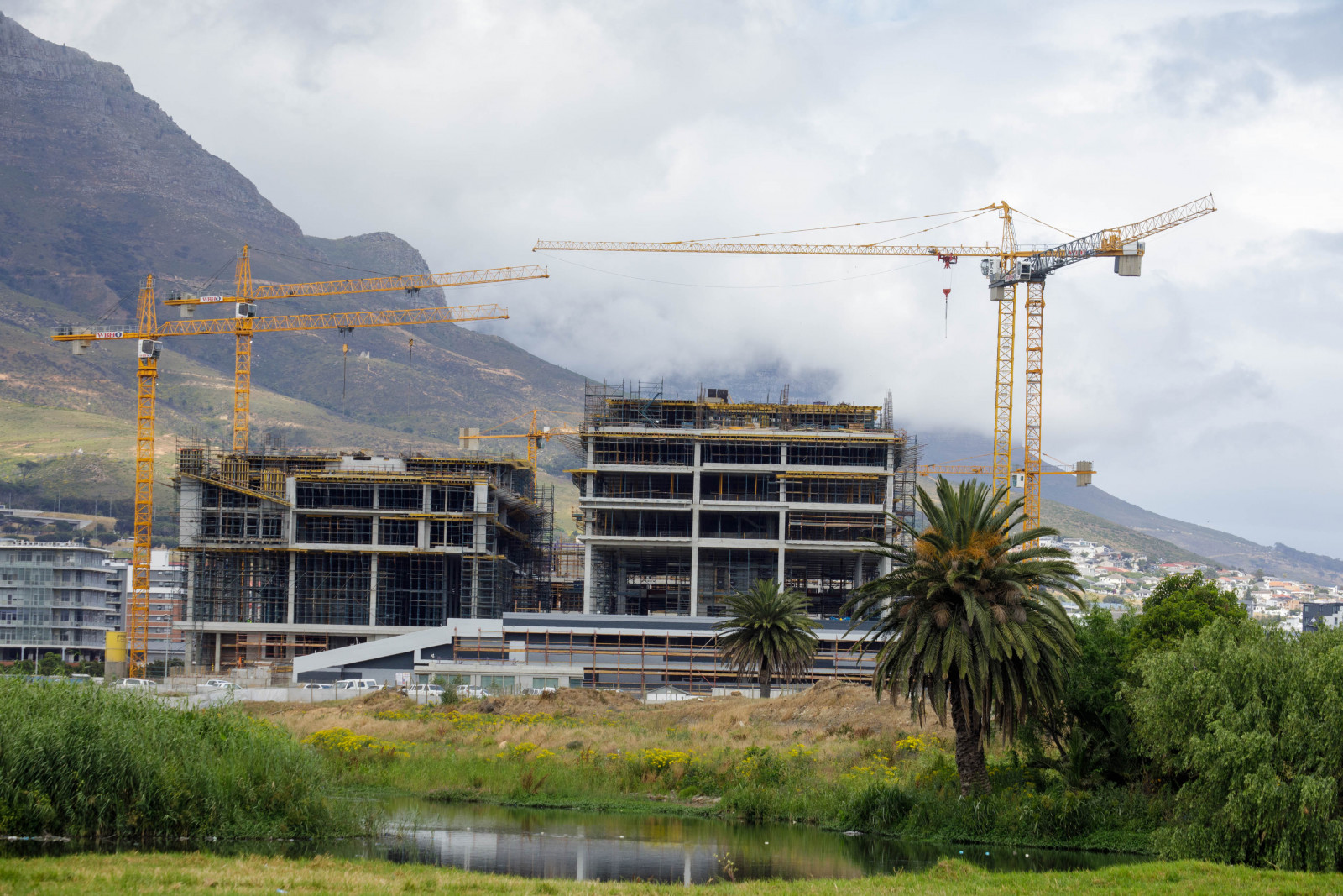 Court victory for Amazon’s SA headquarters – The Mail & Guardian