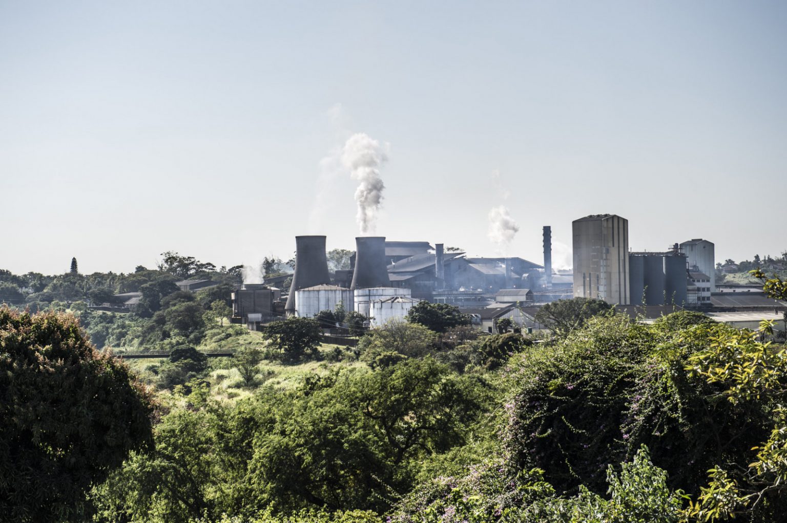Tongaat Hulett sugar division to be sold to a Tanzanian firm – The Mail ...