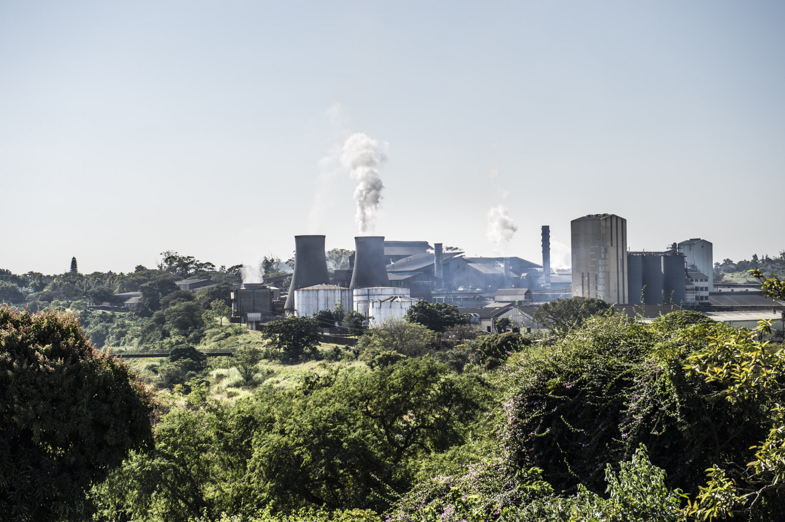 Tongaat Hulett sugar division to be sold to a Tanzanian firm – The Mail ...