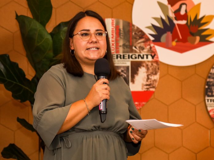 Introducing the universal basic income grant in South Africa – The Mail ...