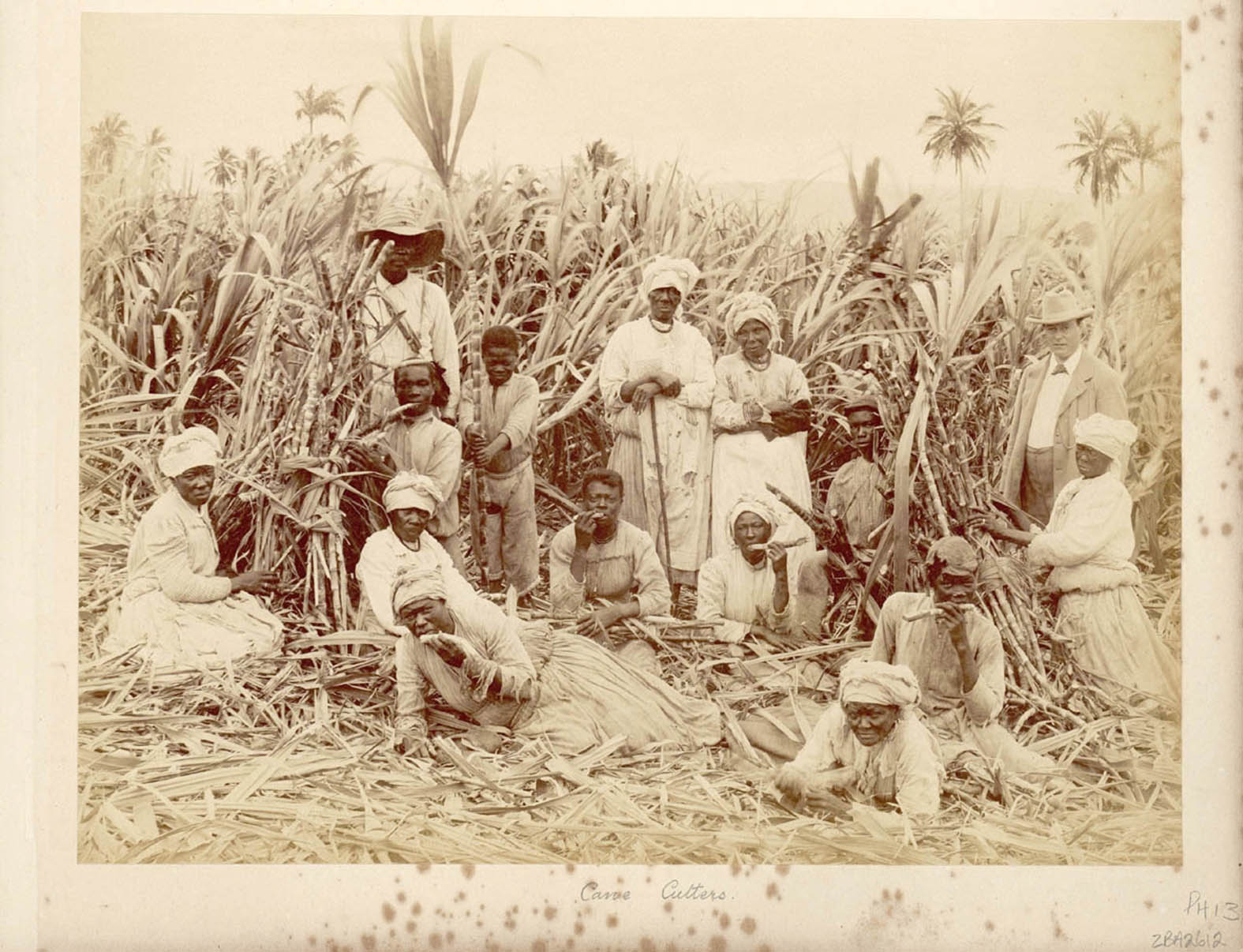 Chasing slavery’s ghosts: The Drax family sugar cane legacy – The Mail ...