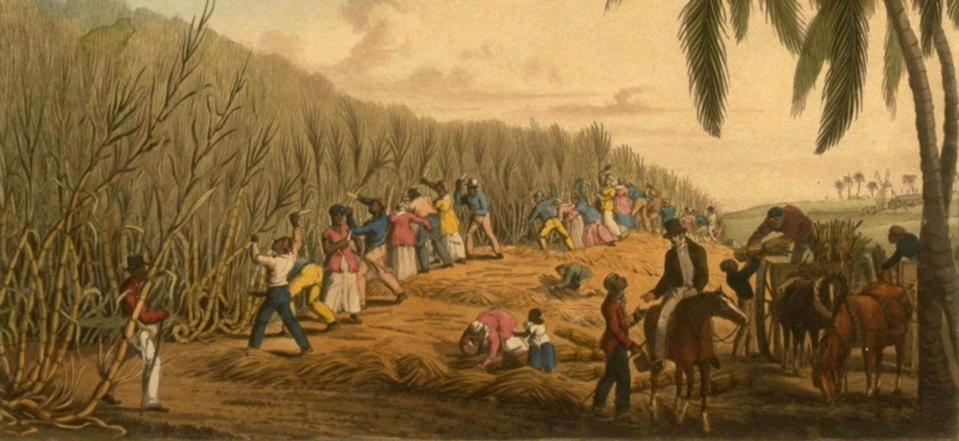 Chasing slavery’s ghosts: The Drax family sugar cane legacy – The Mail ...