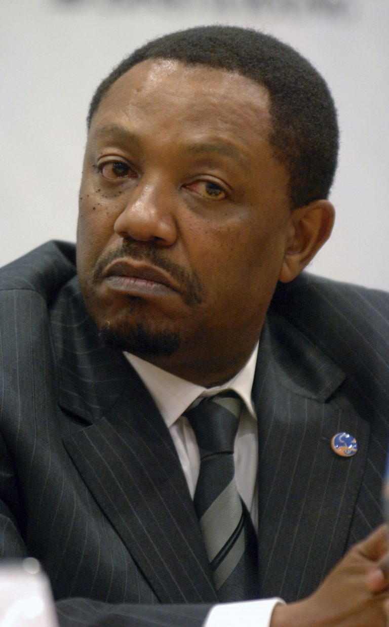 Thulani Gcabashe, Reuel Khoza or even Daniel Mminele. Who will “project ...