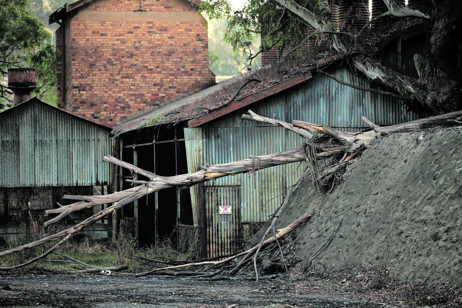 Joburg: There’s still life in the old skelm – The Mail & Guardian