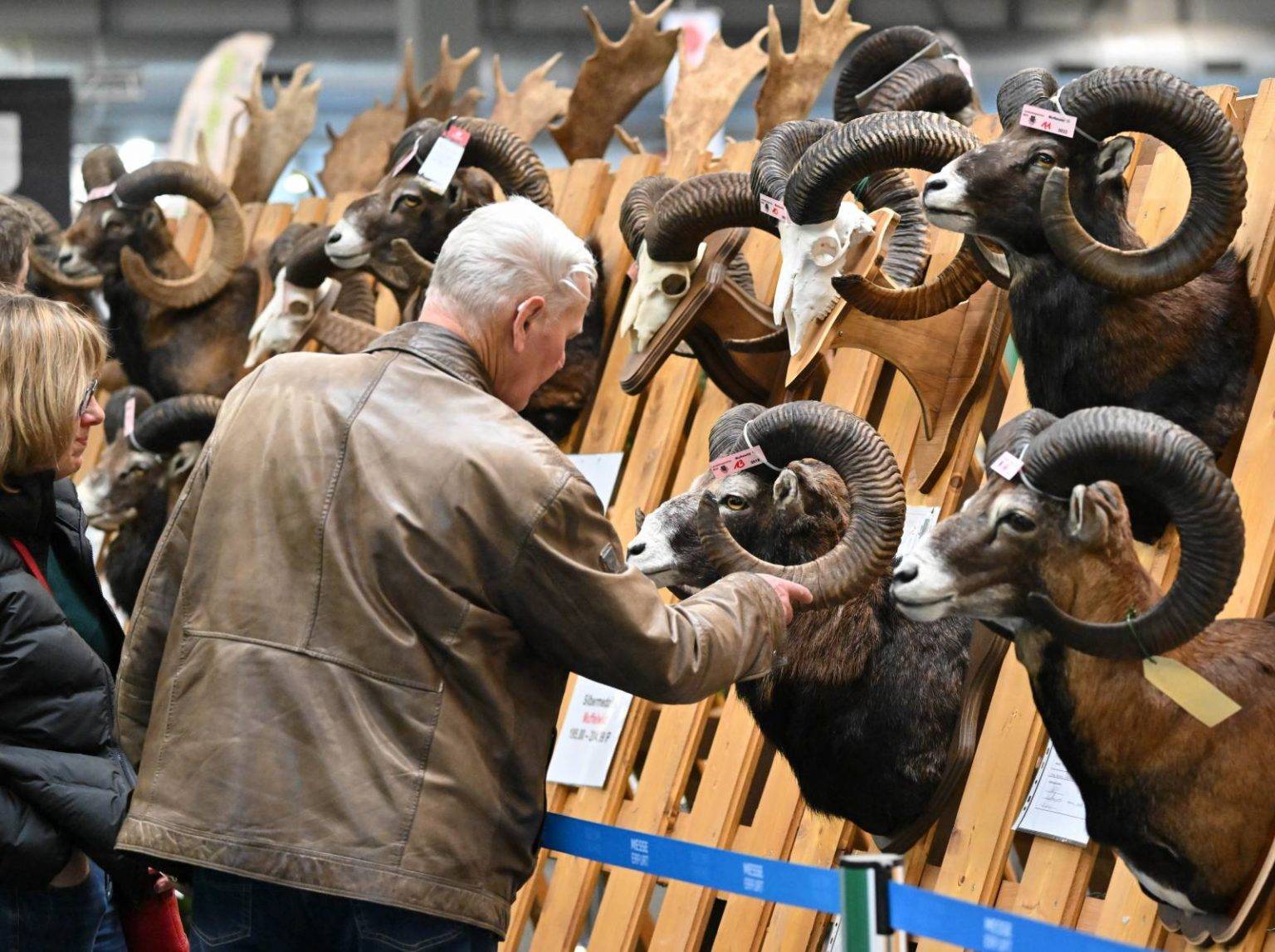 The economics of trophy hunting – The Mail & Guardian