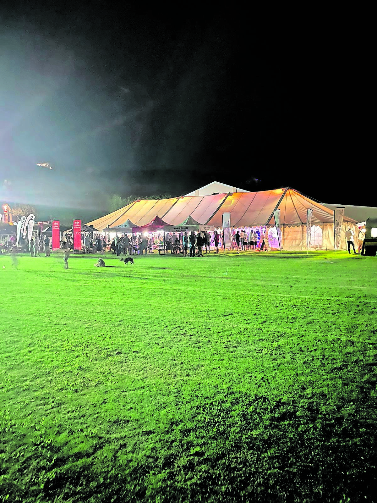 Cricket’s Pineapple Week nears 120 not out – The Mail & Guardian