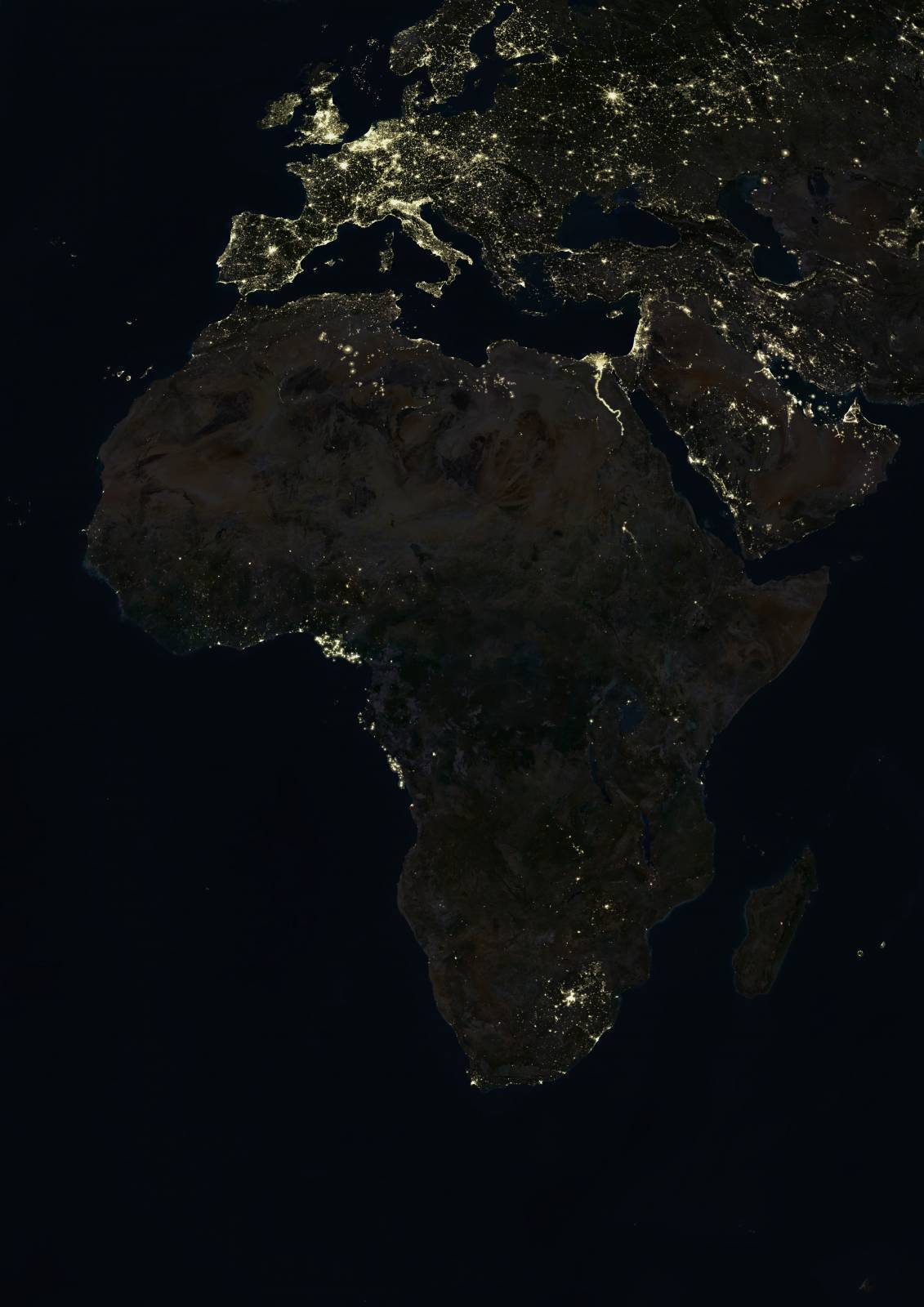 Blinding wildlife: The dark side of artificial light at night – The ...