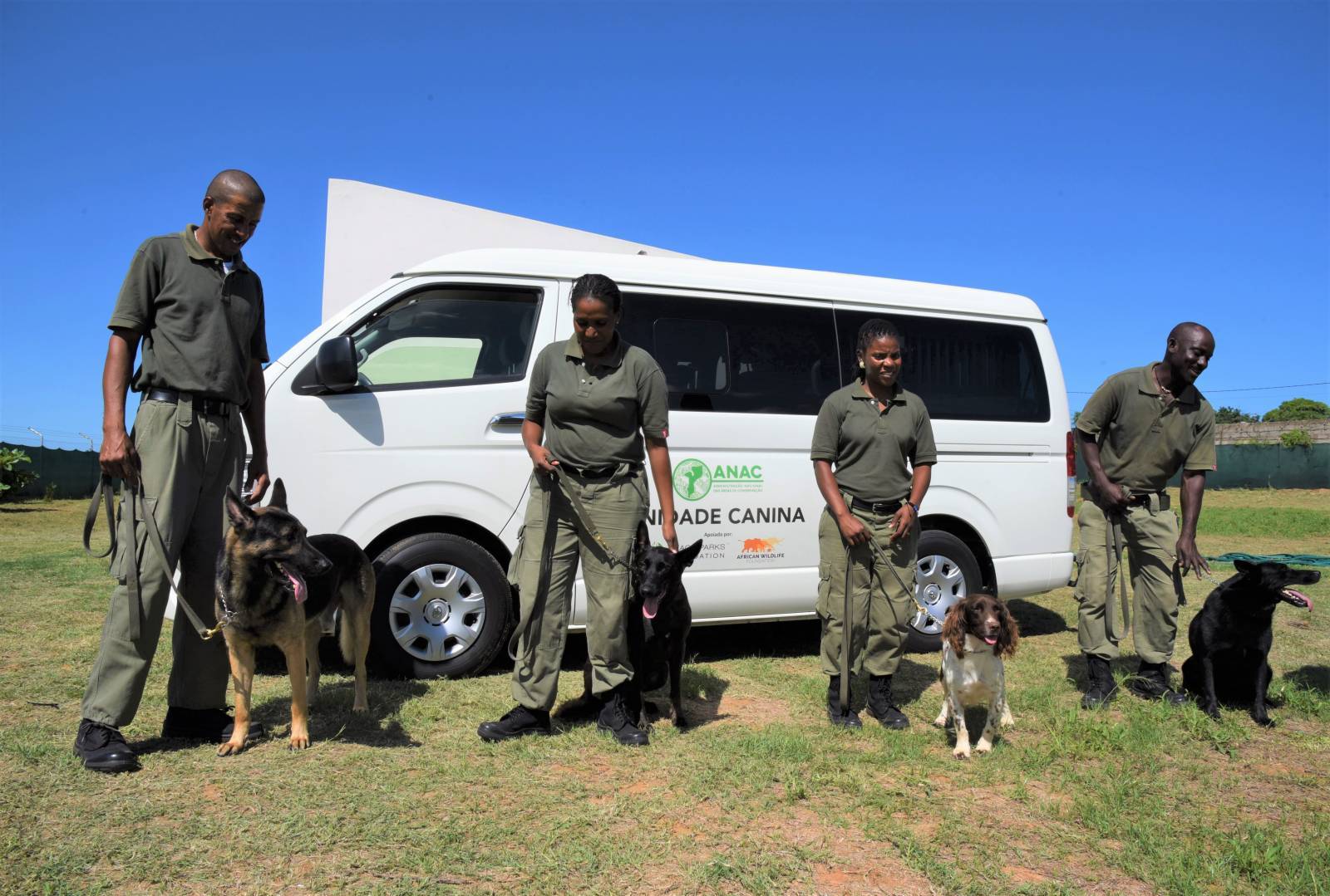 Canine hero Sasa’s victory against wildlife crime in Mozambique – The ...