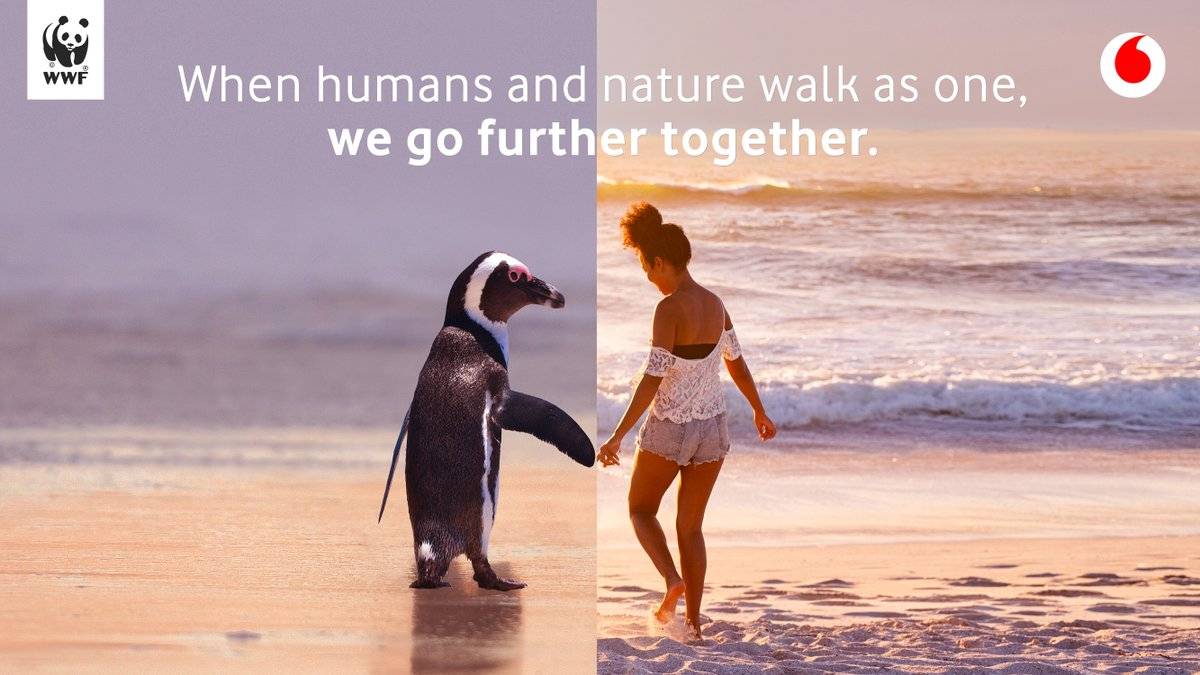 Vodacom SA and WWF recommit to ocean conservation with global ...