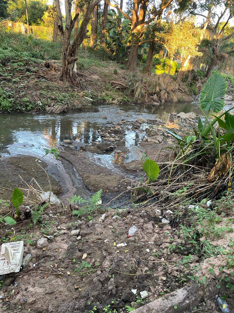 Green Scorpions investigate criminal case of sewage in Umbilo River ...