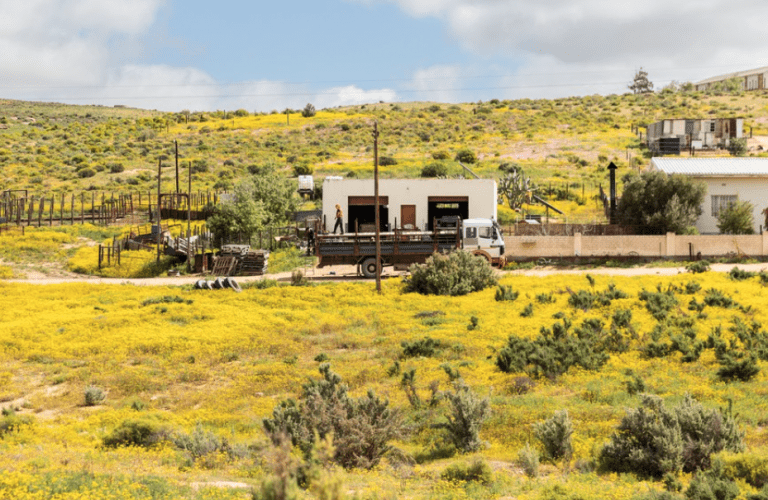 The silent threat: Degrading veld endangers global food and ecosystems ...