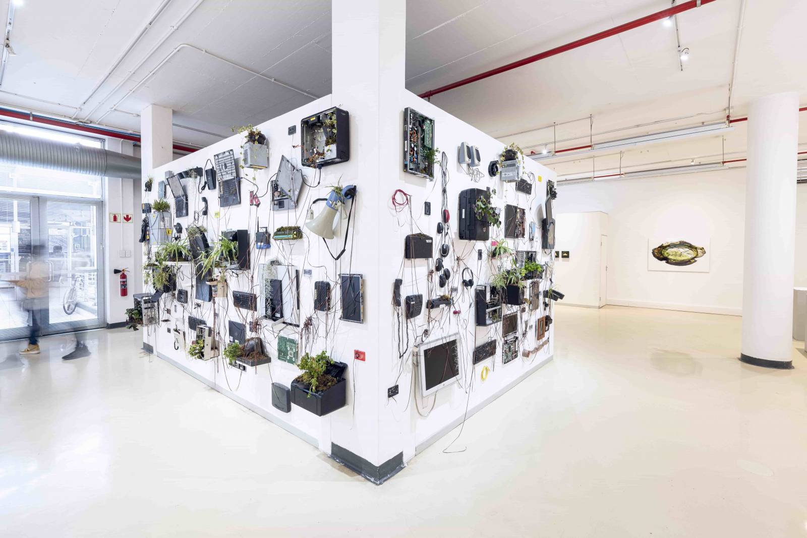 Art meets science at UJ exhibition – The Mail & Guardian