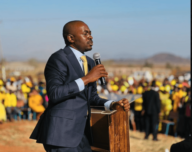 Zimbabwe: Nelson Chamisa’s exit from his party is more than just a ...