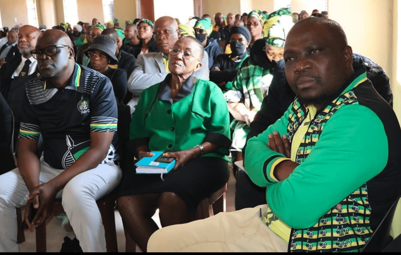 Limpopo MECs are useless, says Sekhukhune regional secretary – The Mail ...