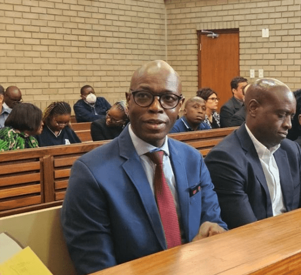 Koko, or a battle for accountability already lost in advance – The Mail ...