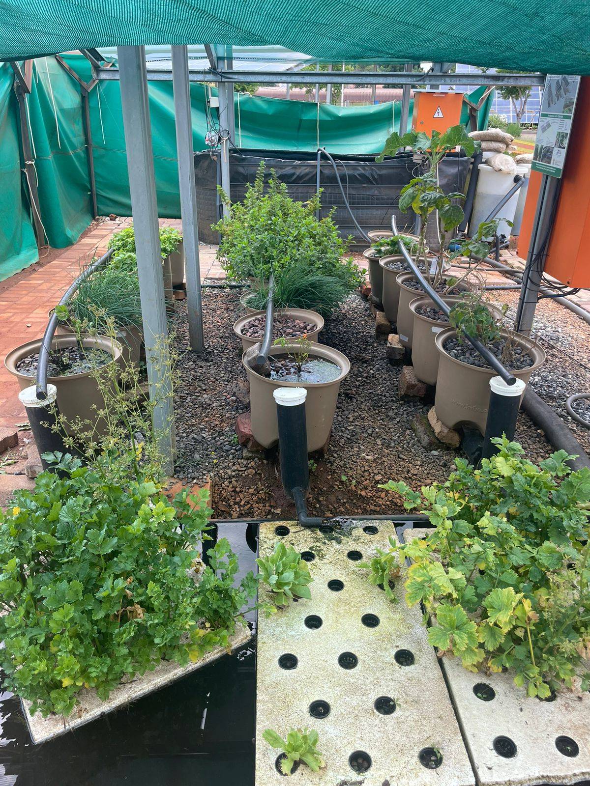 Tour of Komati power station reveals dilemmas – The Mail & Guardian