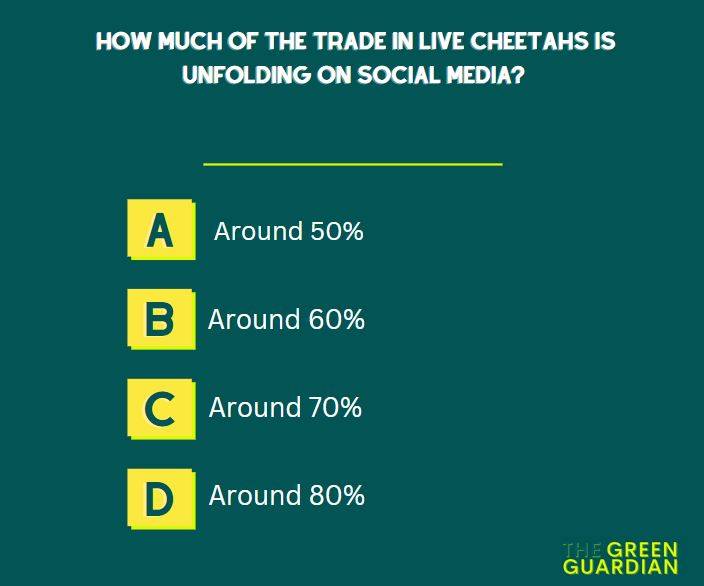 Mail & Guardian Environment Newsletter : The Green Guardian