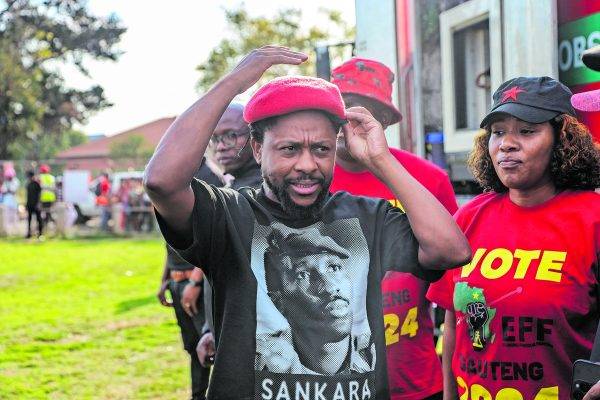 Ndlozi: EFF ready to take key positions in Gauteng – The Mail & Guardian