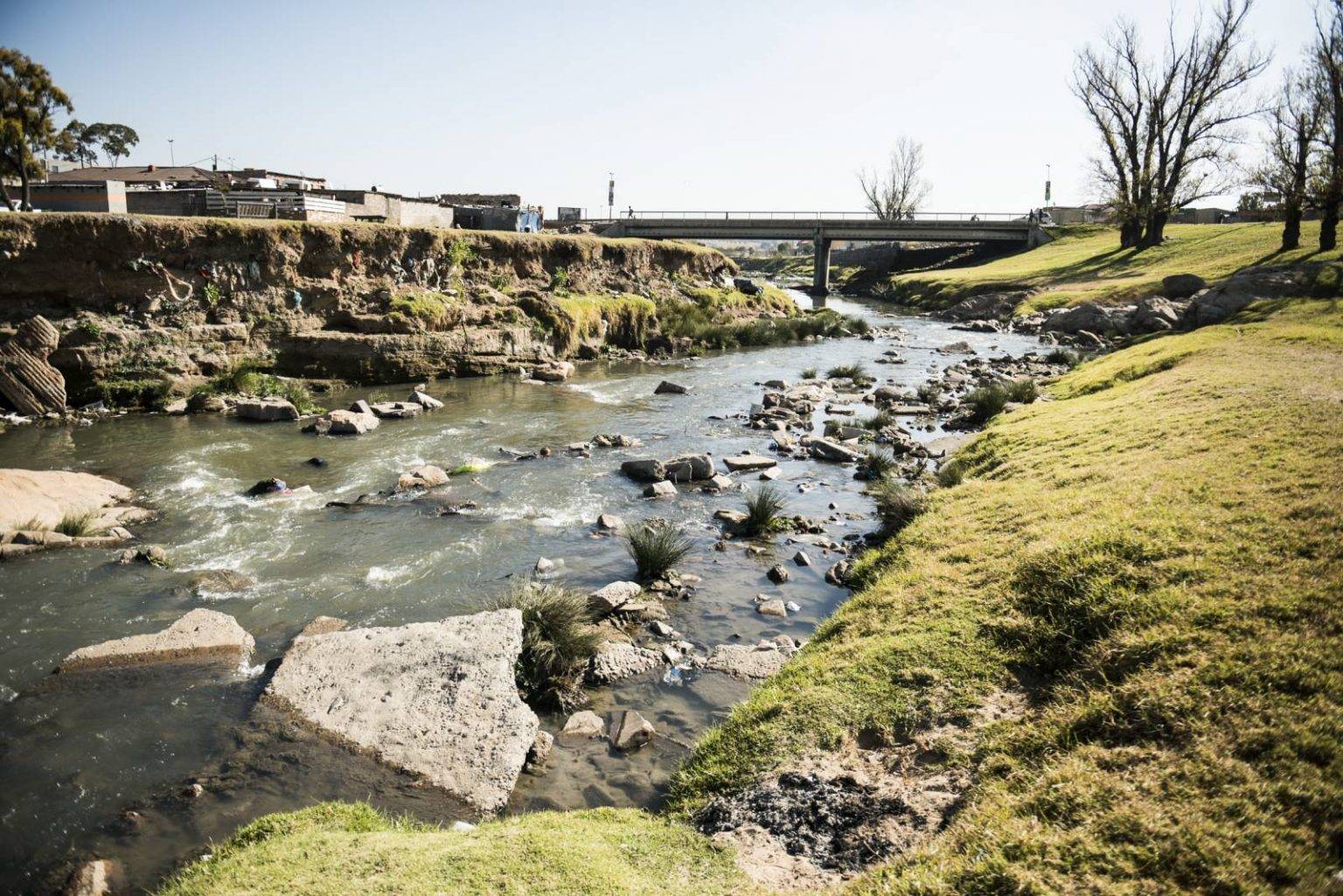 Alexandra Water Warriors are reviving Joburg’s Jukskei River – The Mail ...