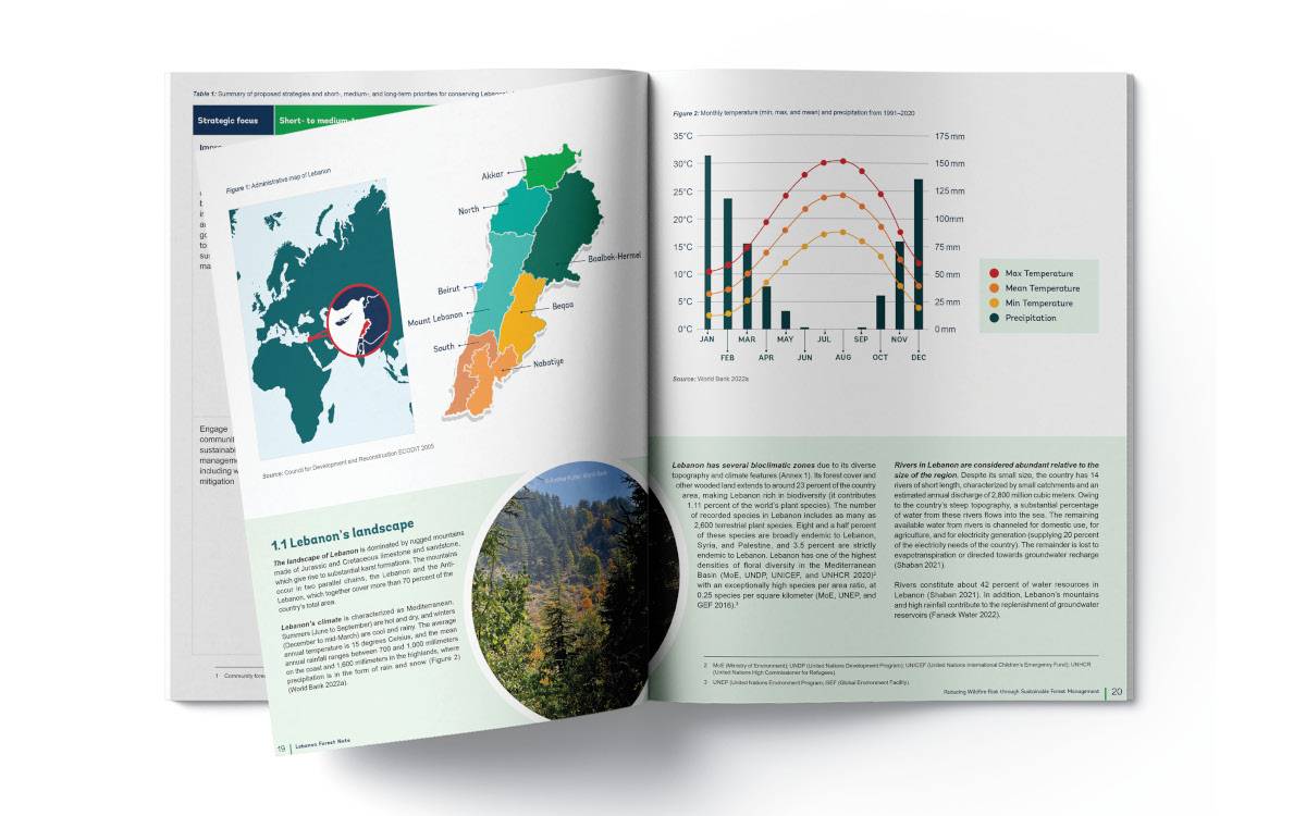 How to make your annual report design more impactful – The Mail & Guardian