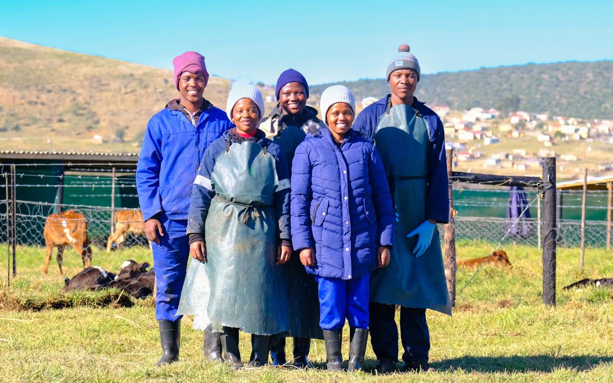 Fort Hare Dairy Trust: A model of success and innovation in dairy ...