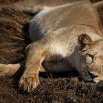 The Mail & Guardian | Africa's Better Future