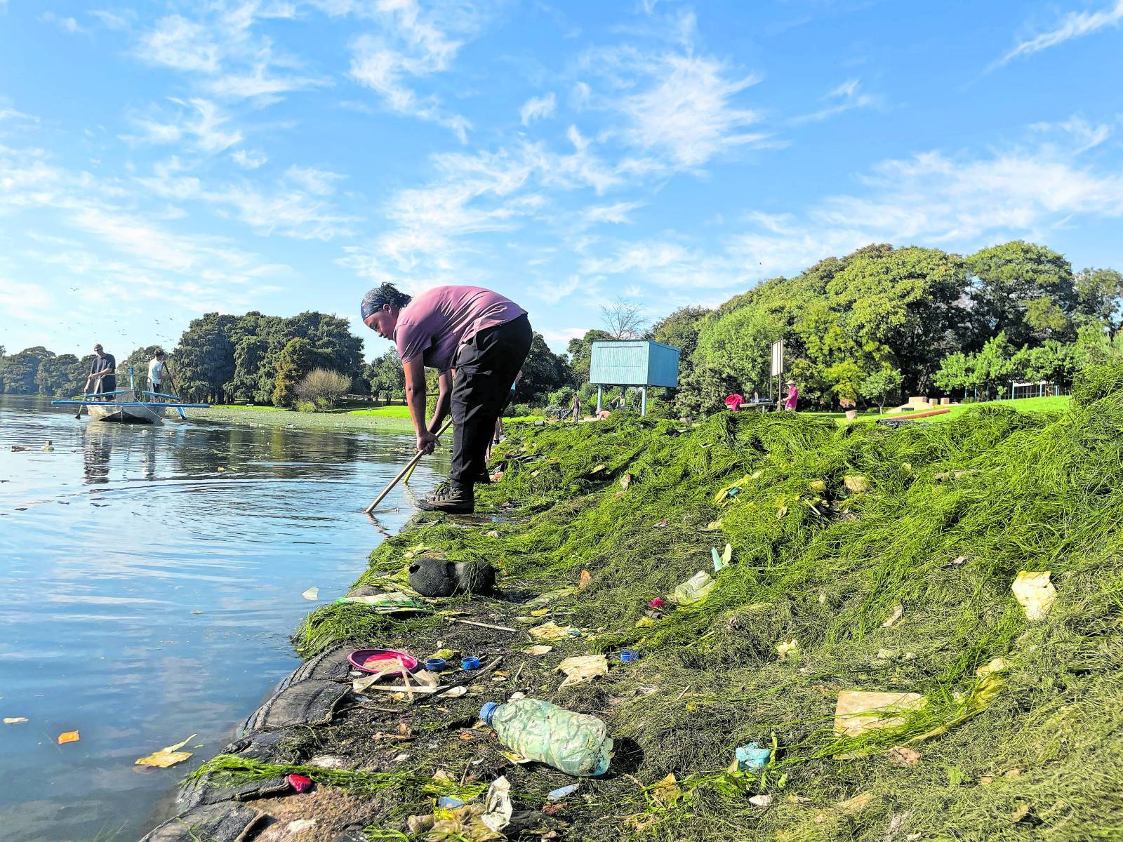 Restoring Wemmer Pan’s glory – The Mail & Guardian