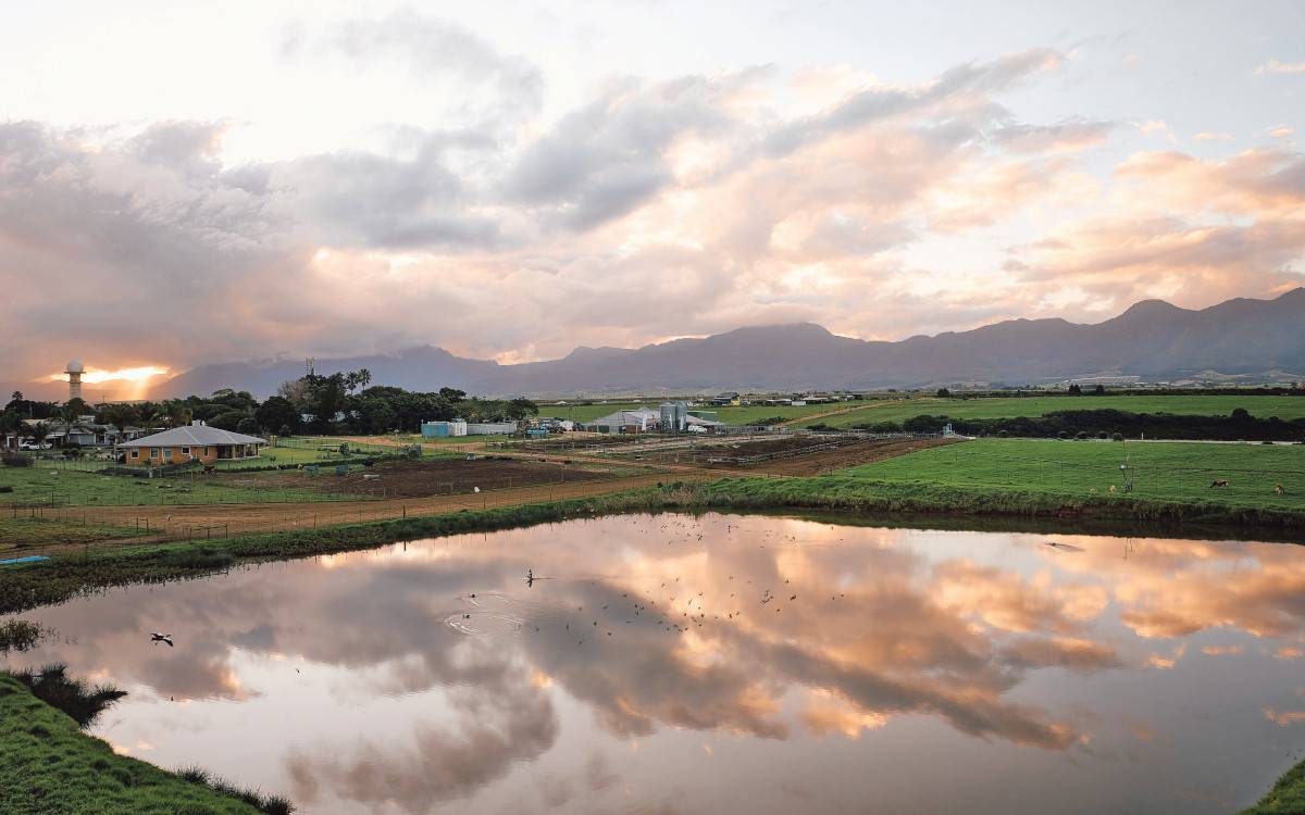 Circularity is central to the Nestlé promise of food security in our ...