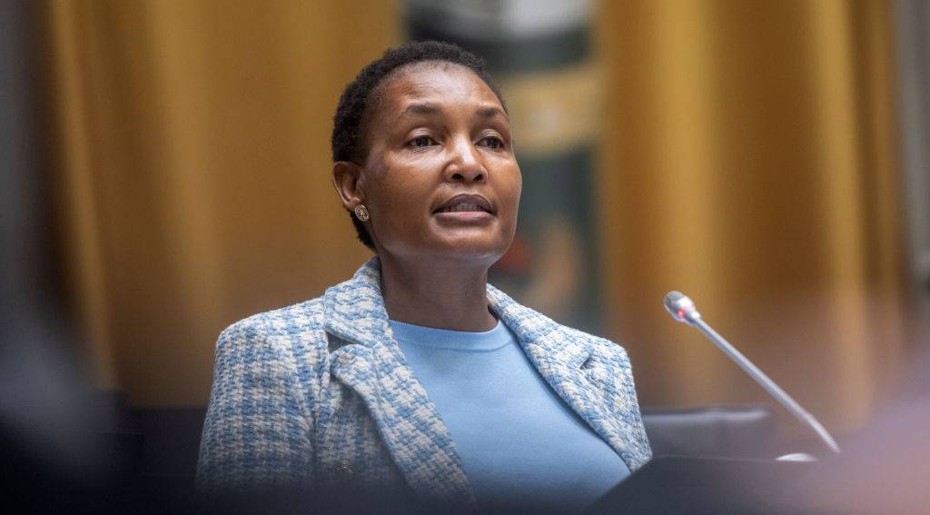 Mbalula: ANC to wait for report from integrity committee to act on ...