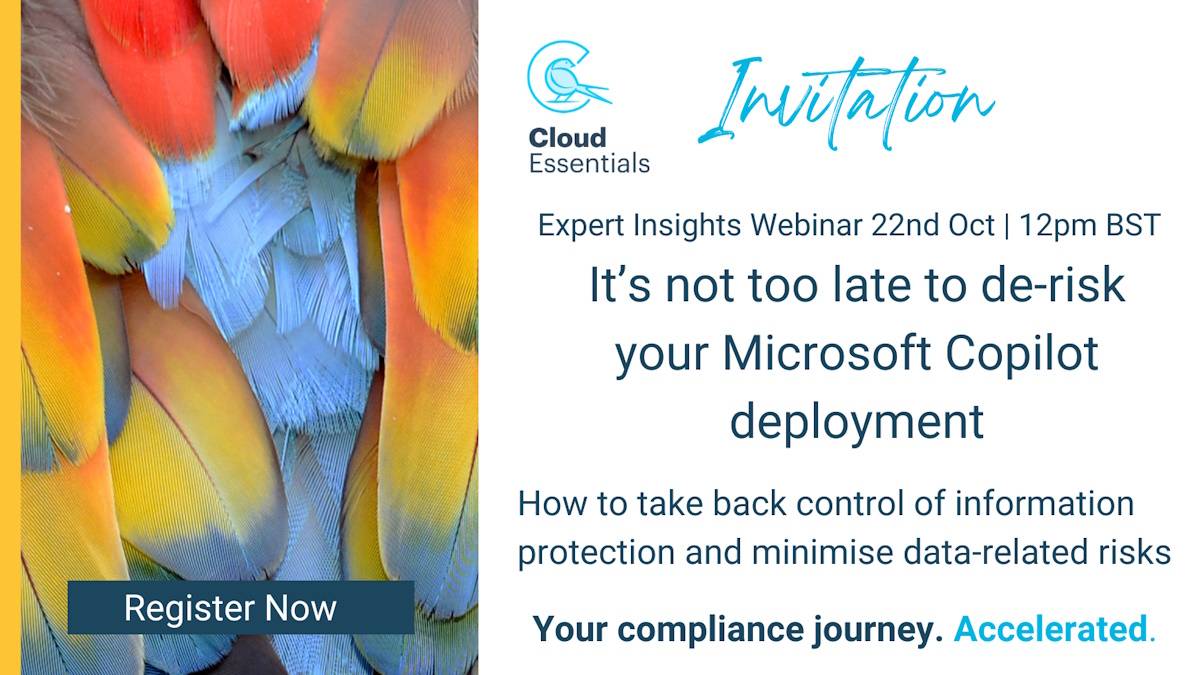 It’s not too late to de-risk your Microsoft Copilot deployment – The ...