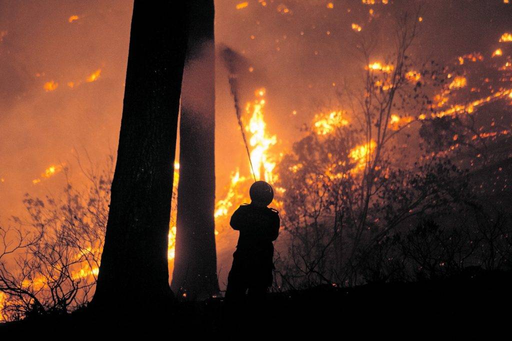 Wildfires ravage 32 000 hectares of Western Cape land this fire season ...