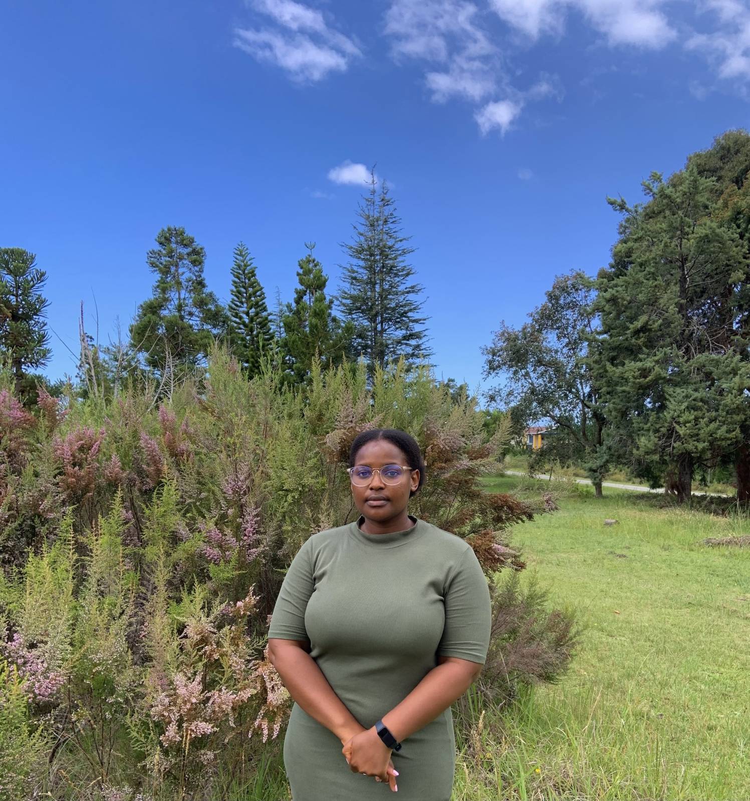 Which plants fuel wildfires – and how to protect your home – The Mail & Guardian