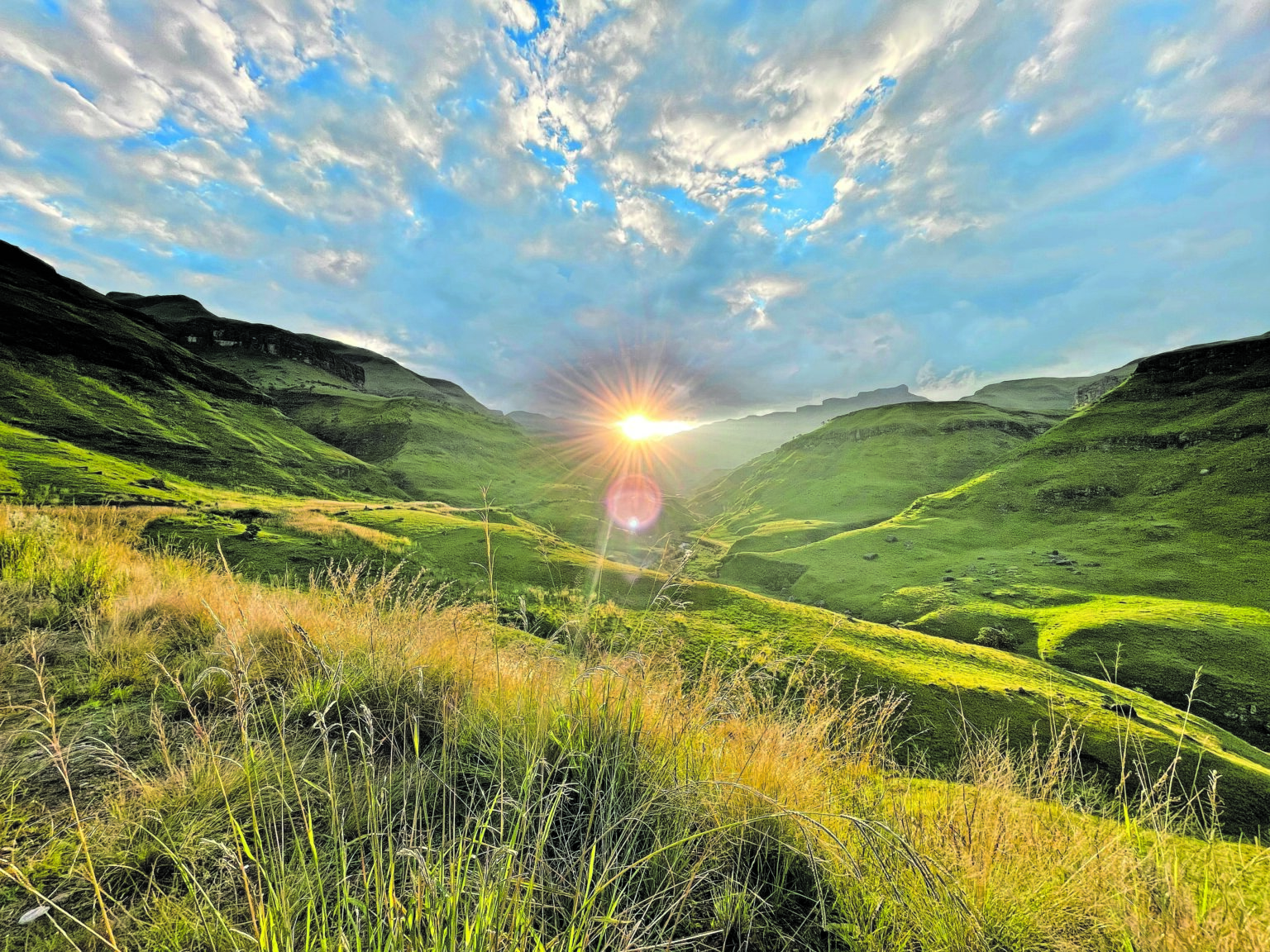 Nature is dead. Nature remains dead. And we have killed it – The Mail ...