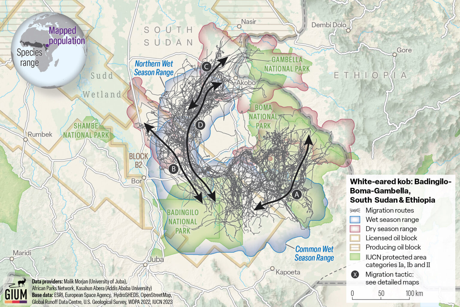 Conservation maps show world’s largest mammal migration — and the ...
