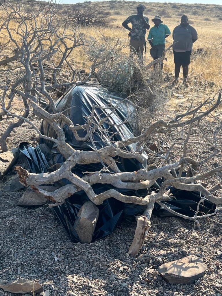 Namibia’s Red Mountain conflict deepens after rhino poaching incident ...